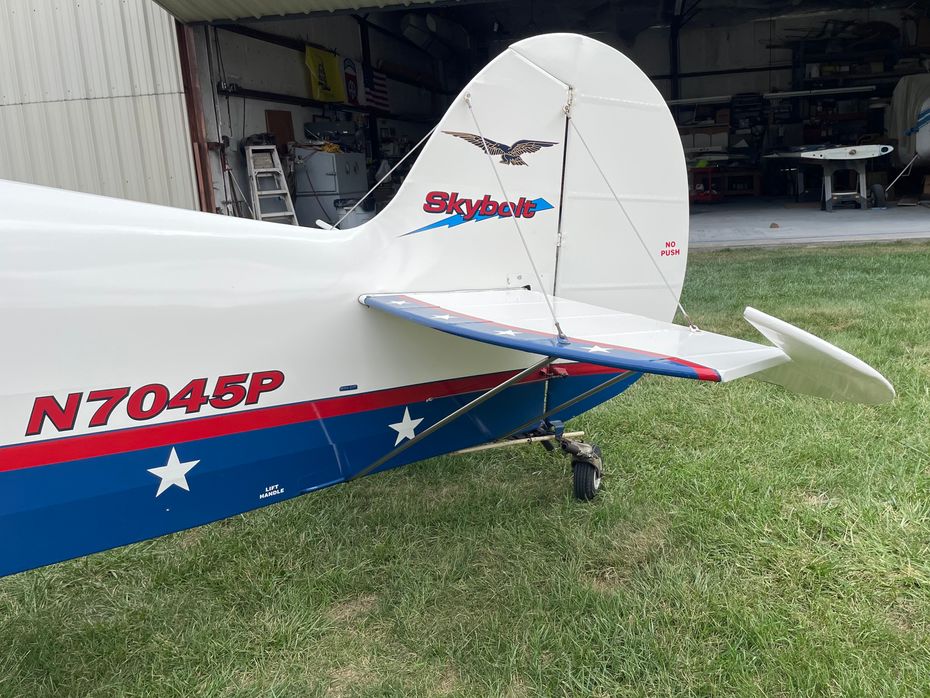 1994 STEEN SKYBOLT - 11471 | Aviators Market